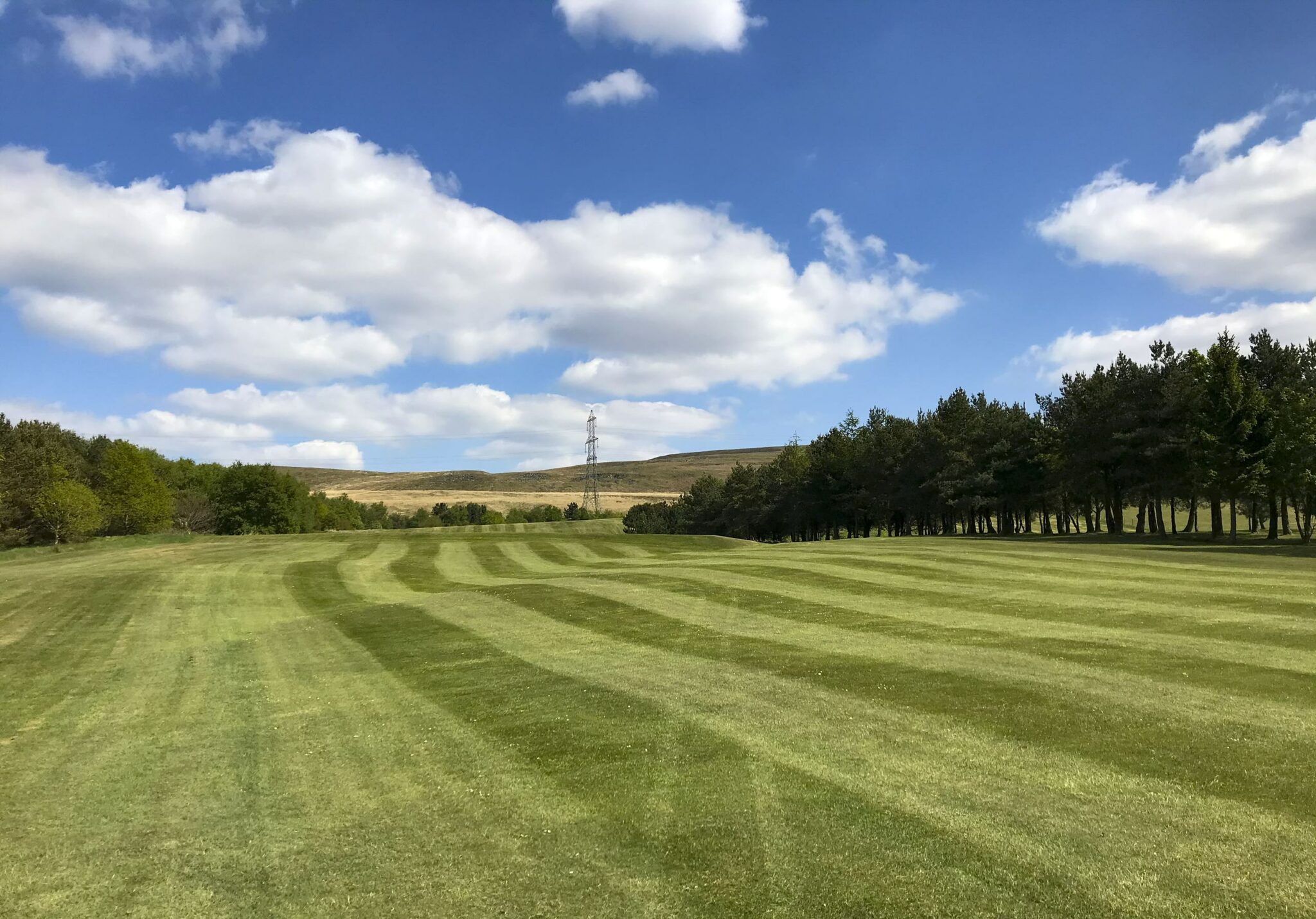 Menu Dark – Whittaker Golf Club